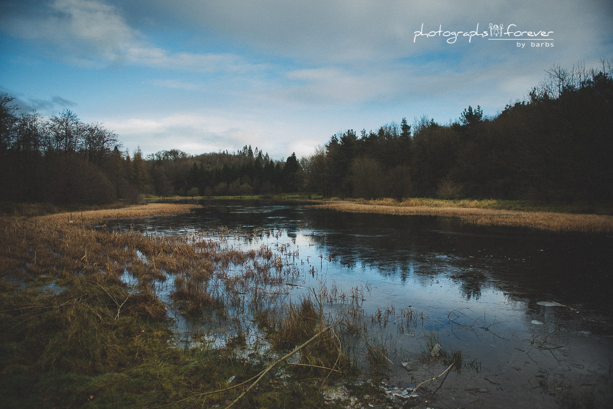 Rossmore Park ~ Winter - UNIQUE PHOTOGRAPHY Lifestyle & Documentary