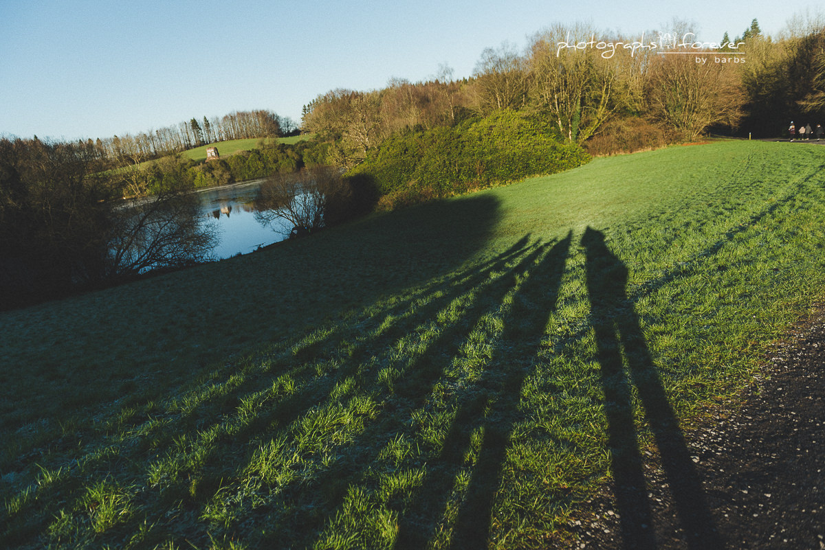 Rossmore Park ~ Winter - UNIQUE PHOTOGRAPHY Lifestyle & Documentary