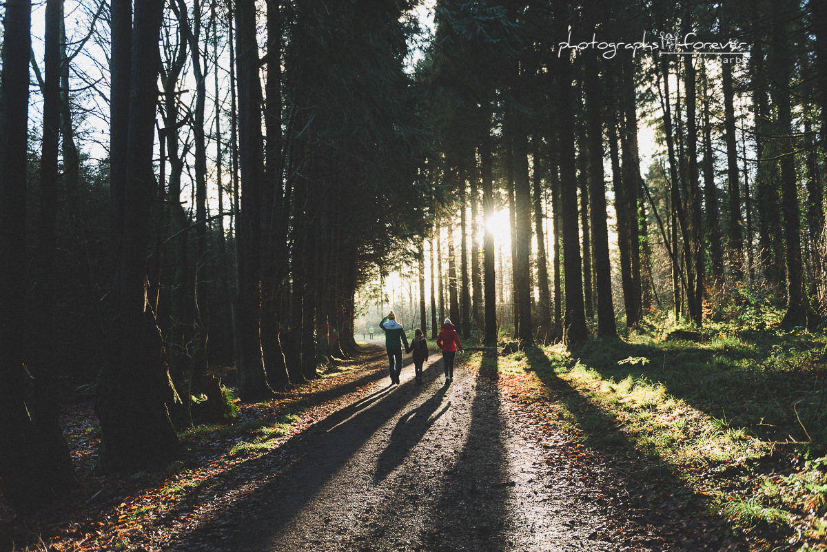 Rossmore Park ~ Winter - UNIQUE PHOTOGRAPHY Lifestyle & Documentary