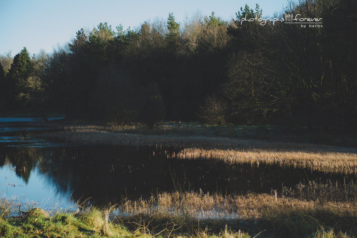 Rossmore Park ~ Winter - UNIQUE PHOTOGRAPHY Lifestyle & Documentary